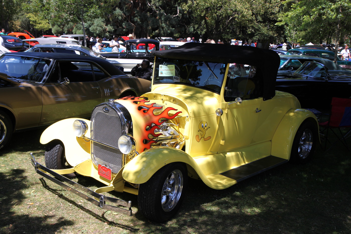 Hot Rods - Front license plate mounts, full fendered Model A, photos ...