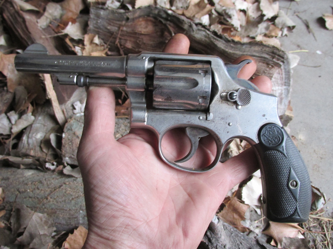 What did you shoot today? | Colt Forum