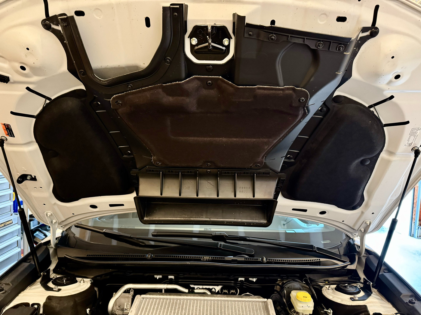 Hood struts - why? | Page 9 | Subaru Outback Forums