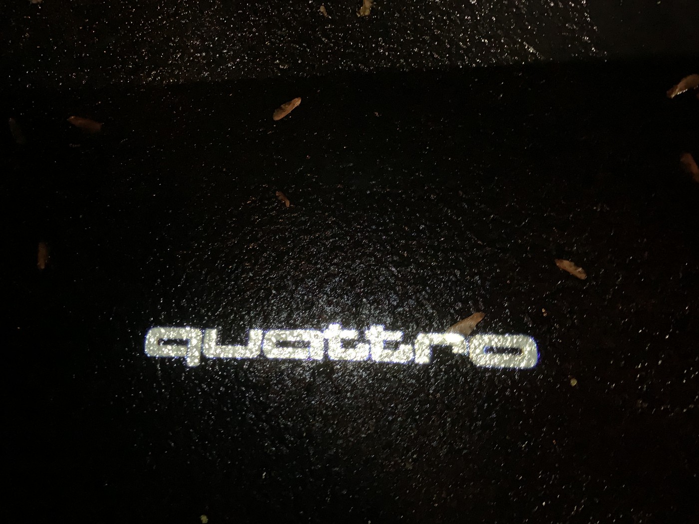 Starting my Q ship mini build...