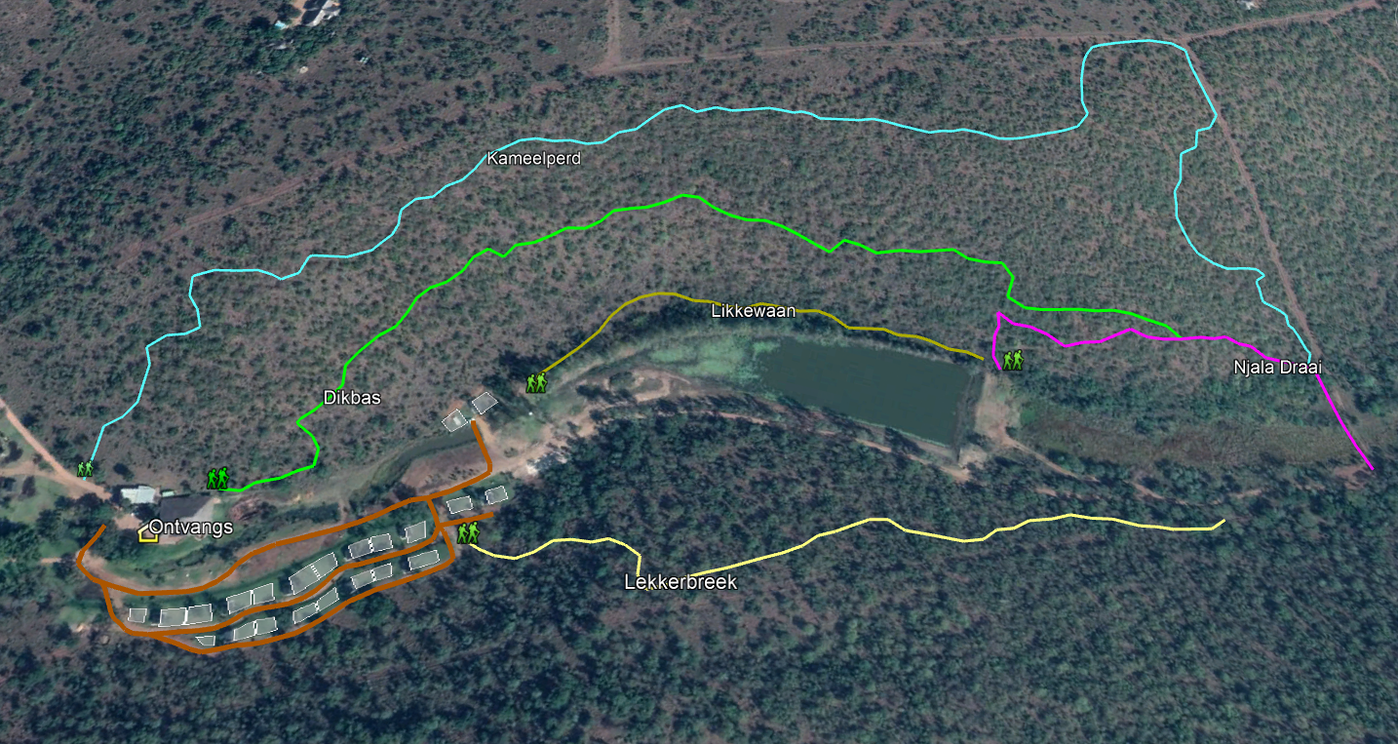 Alan Carr - Travel - Ruah Park