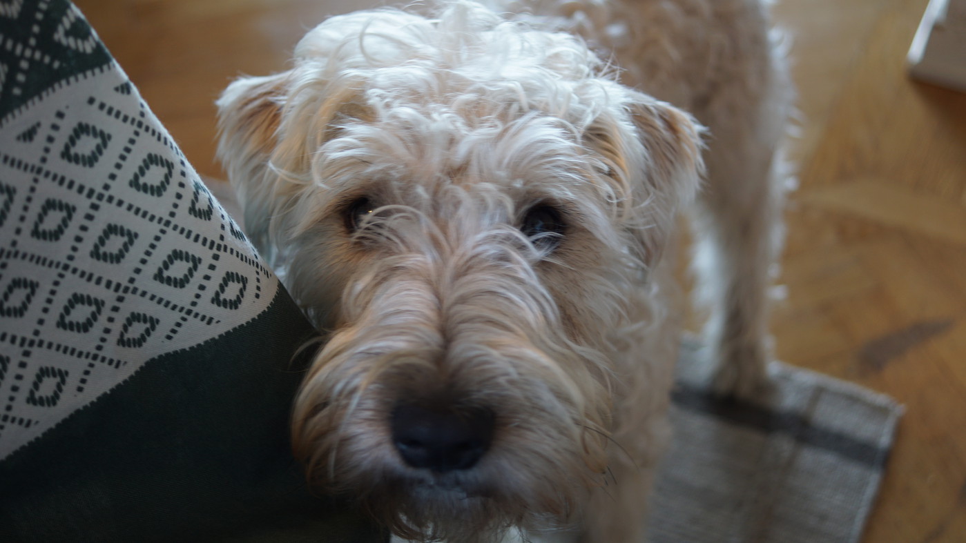 SAAB J 29 F "Tunnan", How to Fly a Barrel - Work in Progress - Aircraft ...