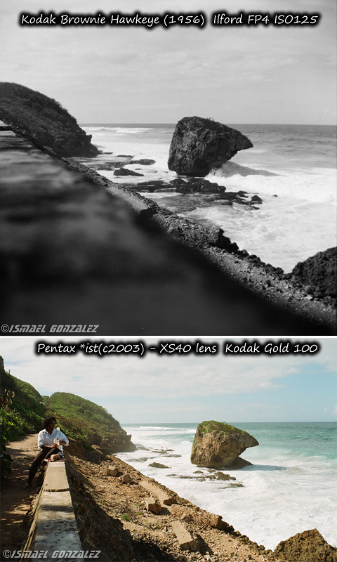 Very odd couple on a date - PentaxForums.com