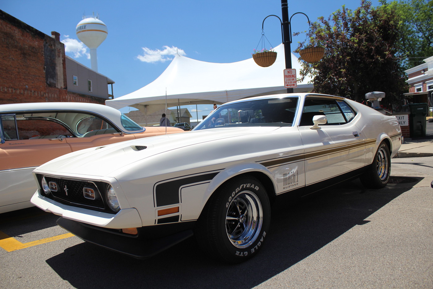 Yeah, it's been awhile...... Friday Evening Randomness.... *PICS*