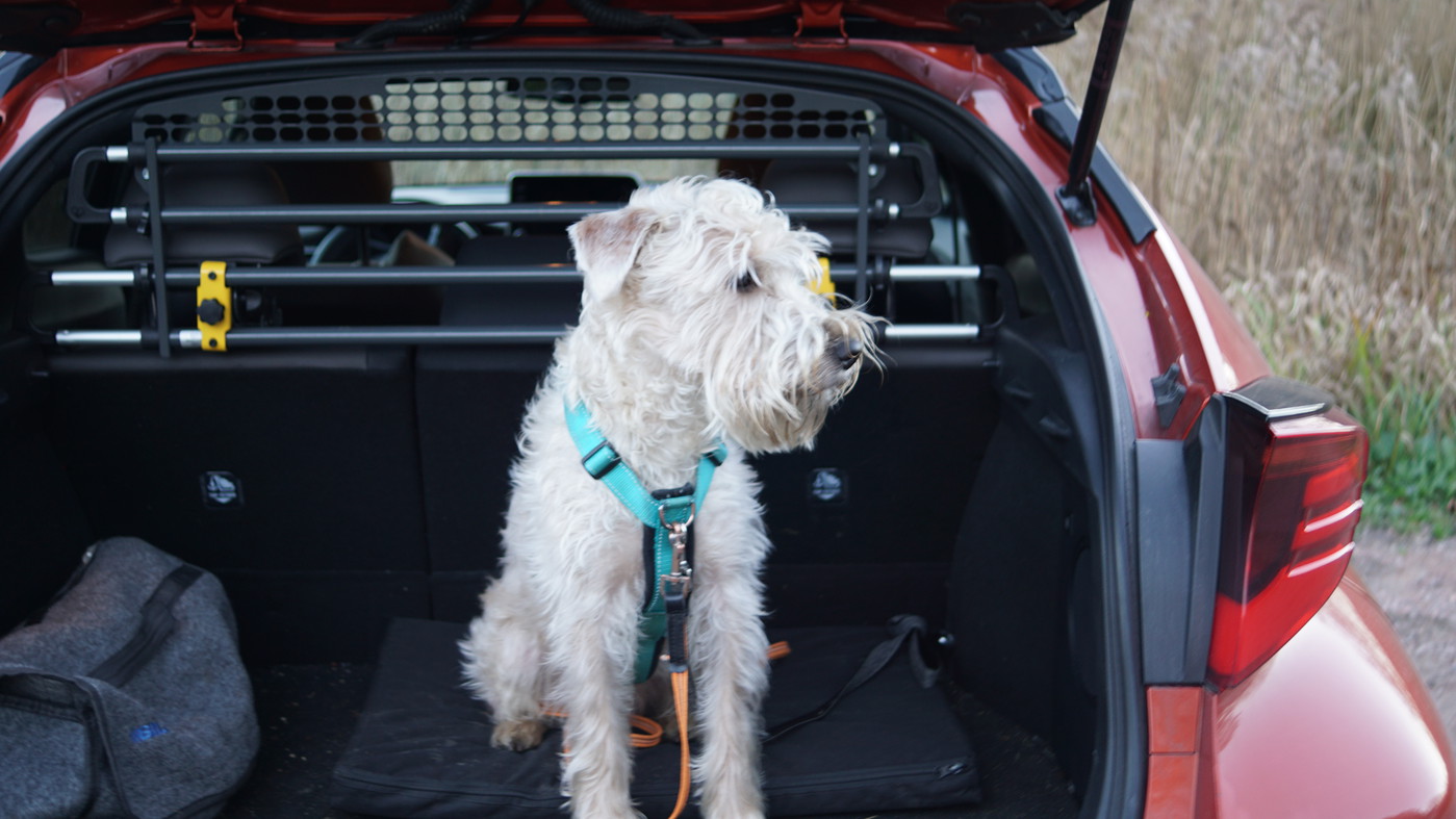 SAAB J 29 F "Tunnan", How to Fly a Barrel - Work in Progress - Aircraft ...