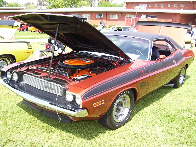 It s Challenger Day not Really I Just Made It Up Pics it-s-challenger-day-not-really-i-just-made-it-up-pics